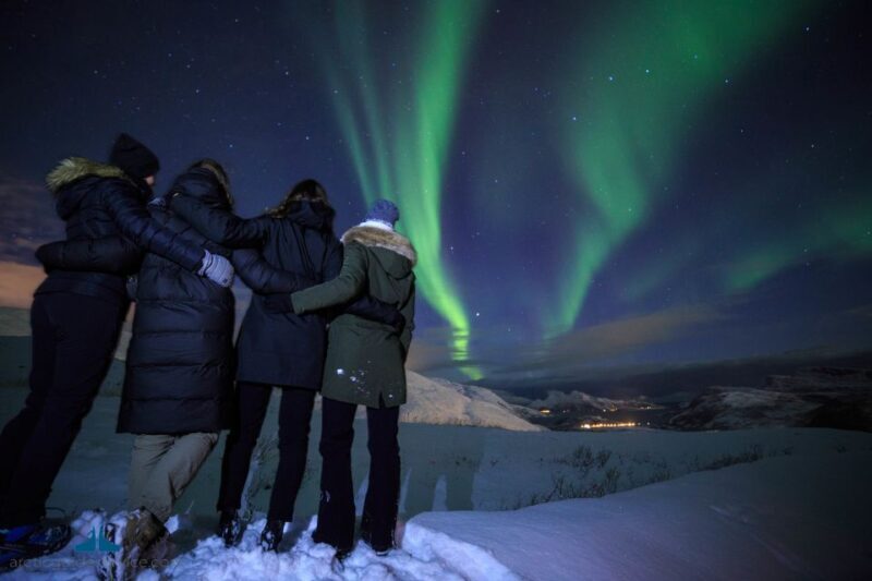 Tromsø: Northern Lights Guided Bus Tour - The Journey and What to Expect