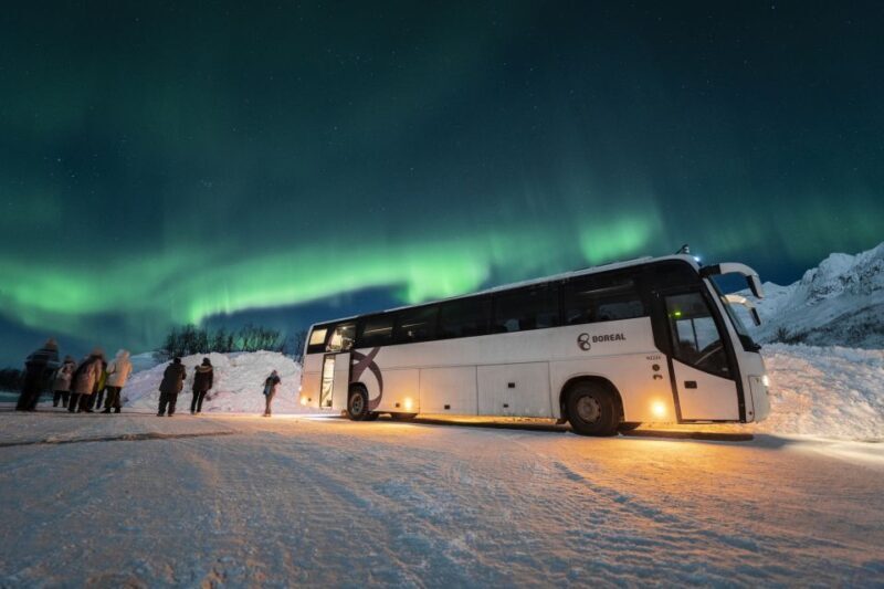 Tromsø: Northern Lights Guided Bus Tour - A Balanced View: Pros and Cons