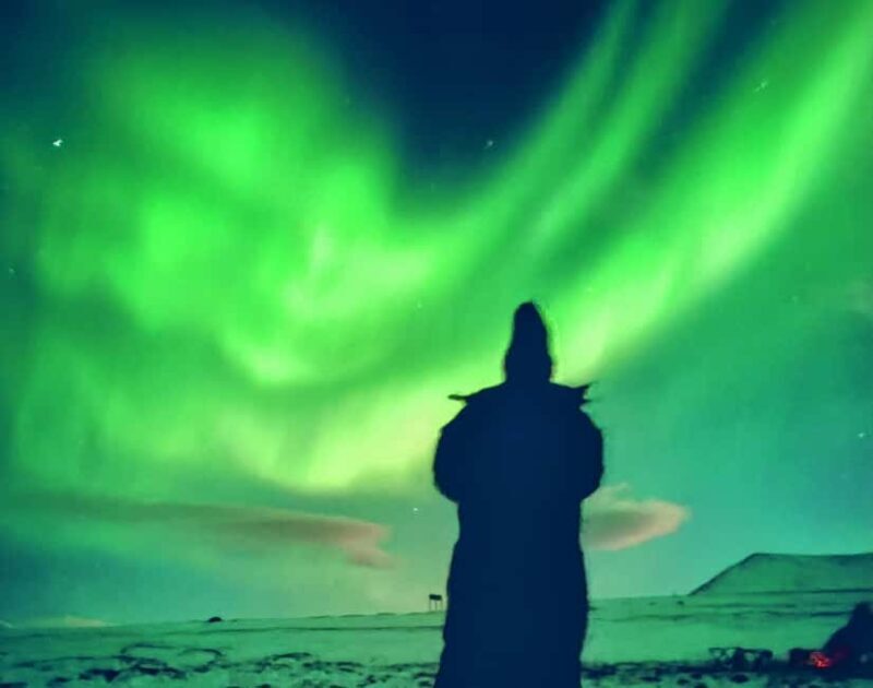 Tromsø: Northern Lights Guided Tour with Bonfire and Snacks - Overview of the Tromsø Northern Lights Tour
