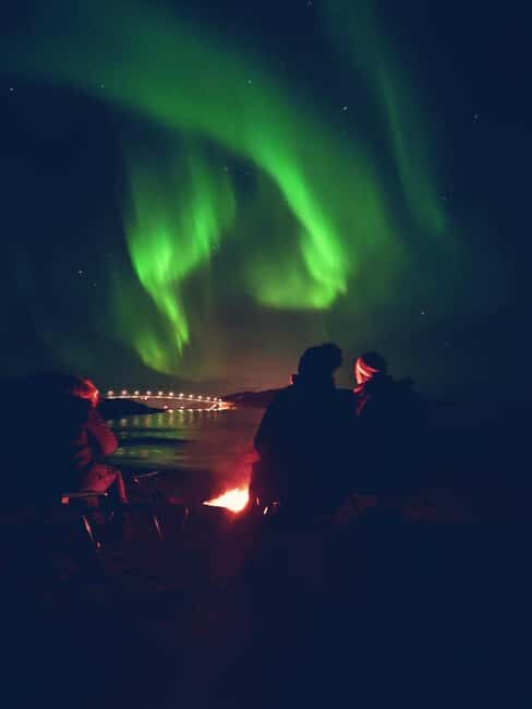 Tromsø: Northern Lights Guided Tour with Bonfire and Snacks - Who Will Love This Tour?