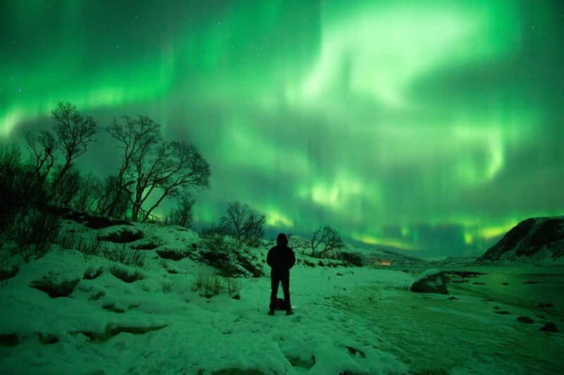 Tromsø: Northern Lights Hunt with Professional Photographer in Spanish - The Balance of Cost and Value