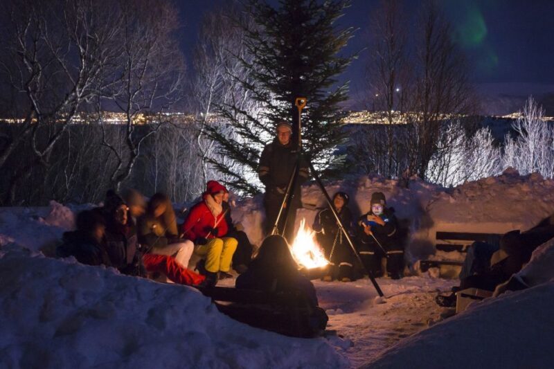 Tromsø: Northern Lights Husky Visit with Traditional Dinner - Key Points