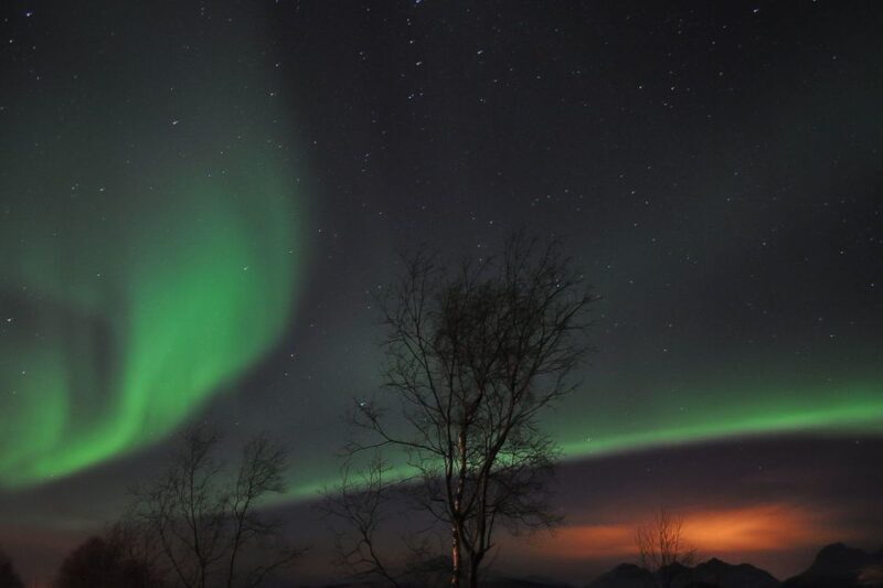 Tromsø: Northern Lights Husky Visit with Traditional Dinner - Who Should Consider This Tour?