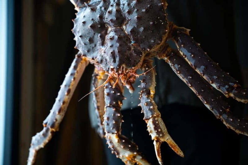 Tromsø: Northern Lights Live King Crab Dinner by the Sea - An Authentic Arctic Culinary Adventure in Tromsø