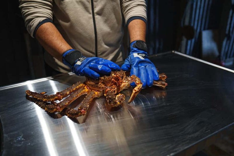 Tromsø: Northern Lights Live King Crab Dinner by the Sea - Authentic, Sustainable, and Edible Memories