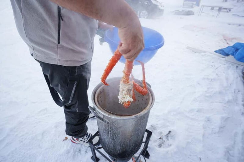Tromsø: Northern Lights Live King Crab Dinner by the Sea - Final Thoughts