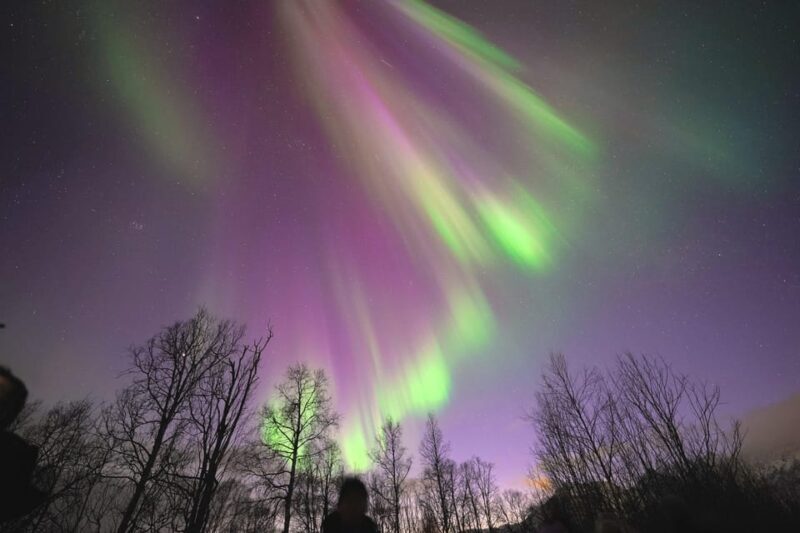 Tromso: Northern Lights Minibus Tour with Campfire - Who Should Book This Tour?