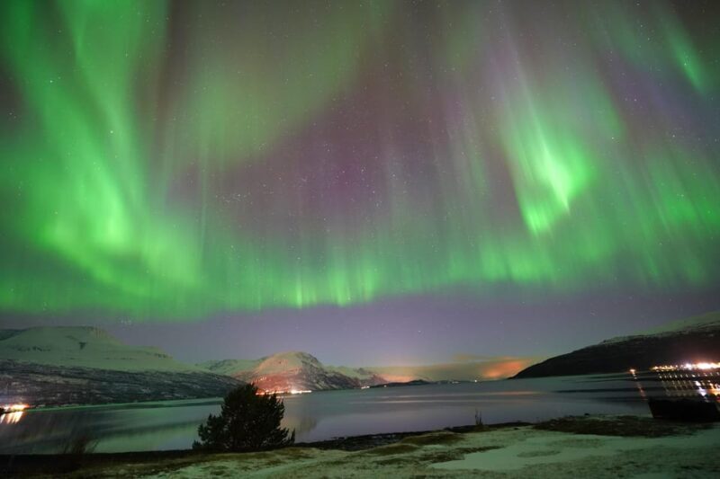 Tromso: Northern Lights Minibus Tour with Campfire - FAQs