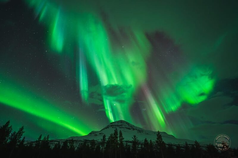 Tromsø: Northern Lights Photography Small-Group Tour - Key Points