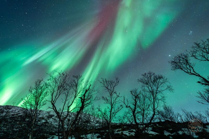 Tromsø: Northern Lights Photography Small-Group Tour - An In-Depth Look at the Tour Experience