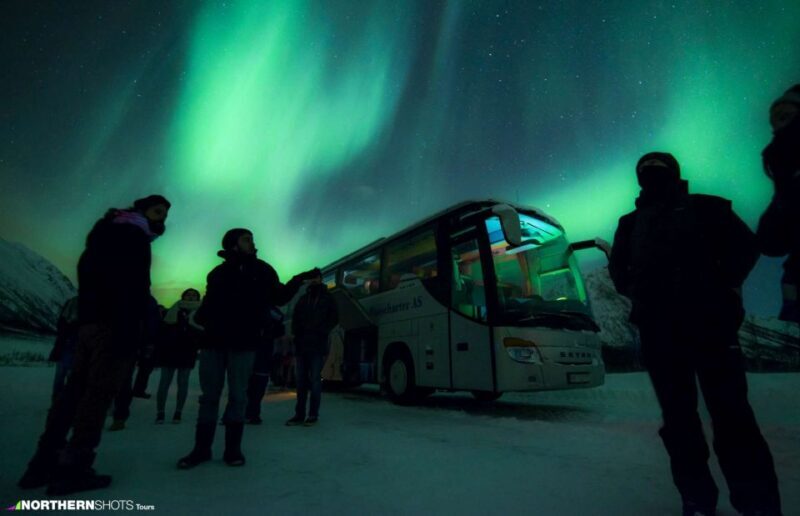 Tromso: Northern Lights Photography Tour by Bus (or miniBus) - Authentic Experiences and Traveller Insights