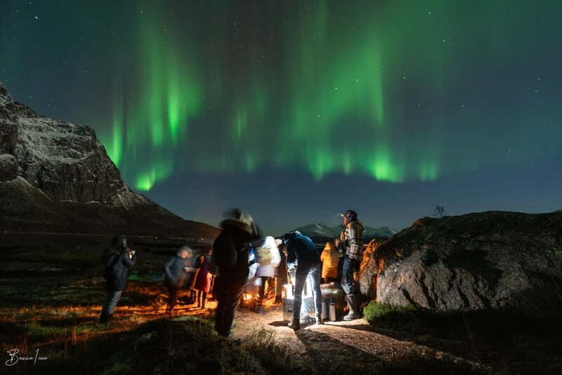 Tromsø: Northern Lights Safari - Price and Value