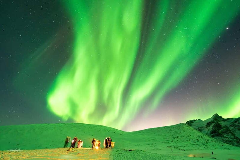 Tromsø: Northern Lights Safari - Frequently Asked Questions (FAQ)