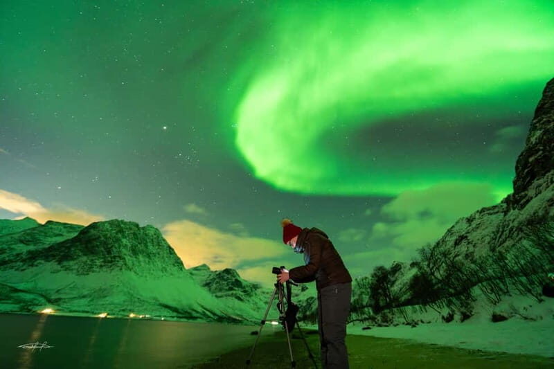 Tromsø: Northern Lights Safari w/ Experienced Guide & Photos - Success Rates and Weather Dependence