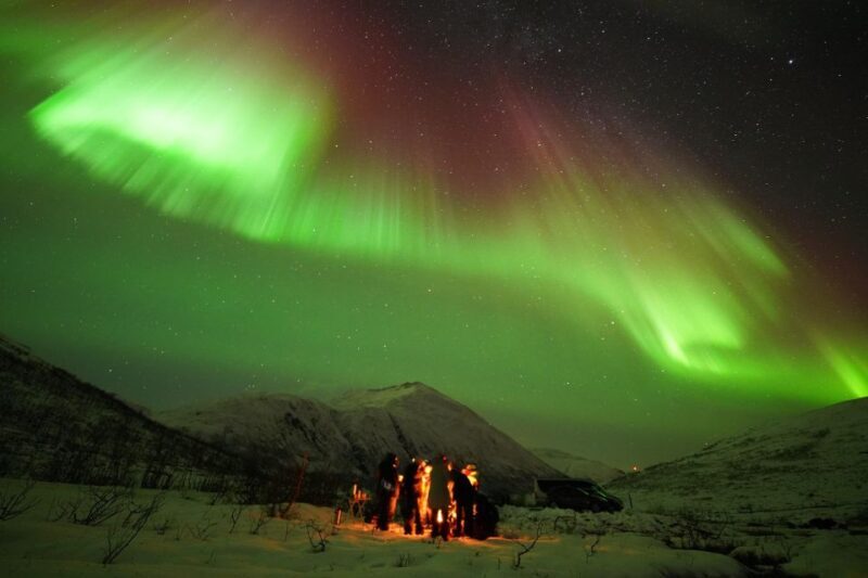 Tromsø: Northern Lights Tour with Free Professional Portrait - Introduction: Capturing the Magic of the Arctic Night