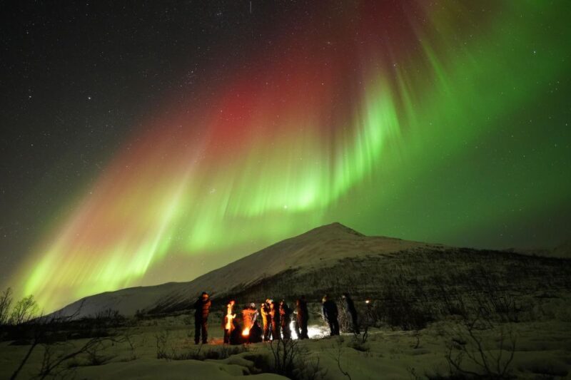 Tromsø: Northern Lights Tour with Free Professional Portrait - Key Points
