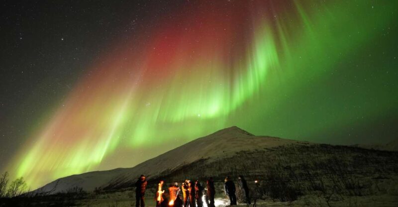 Tromsø: Northern Lights Tour with Free Professional Portrait - Who Should Book This Tour?