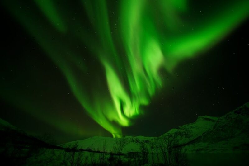 Tromsø: Northern Lights Tour with Free Professional Portrait - Frequently Asked Questions