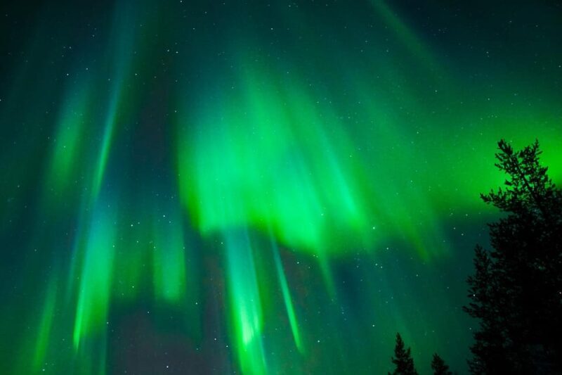 Tromsø: Northern Lights Tour with Guaranteed Sightings - Key Points