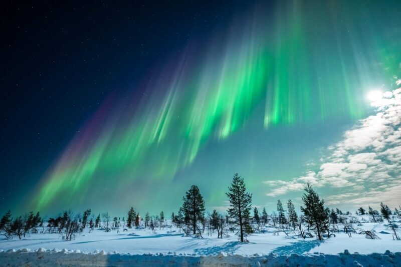 Tromsø: Northern Lights Tour with Guaranteed Sightings - FAQ