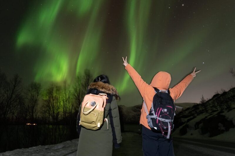 Tromsø: Northern Lights tour with local experts - A Closer Look at the Tour
