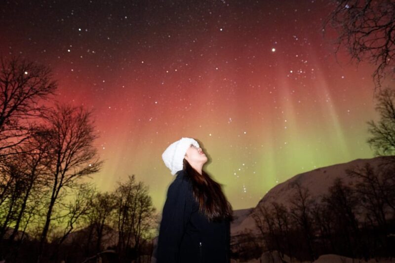 Tromsø: Northern Lights Tour with Local Guide and Photos - The Experience: Aurora, Stories, and Snacks