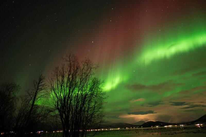 Tromsø: Northern Lights Tour with Local Guide and Photos - Final Thoughts: Who Is This Tour For?