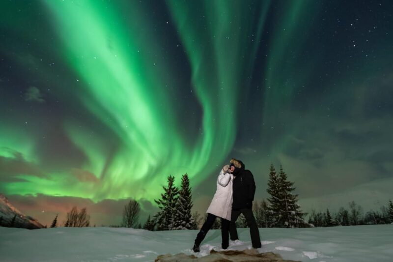 Tromsø: Northern Lights Tour with Professional Photographer - Is It Worth the Cost?