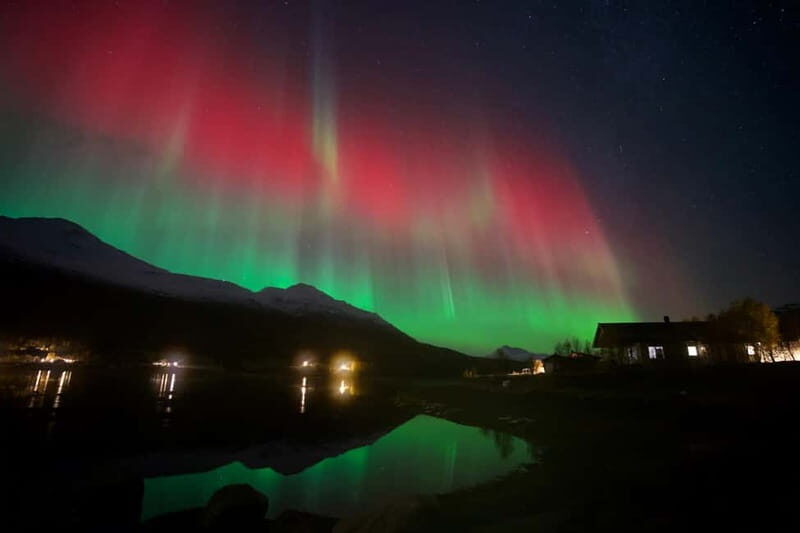 Tromsø: Northern Lights Tour with small group, minibus - Key Points