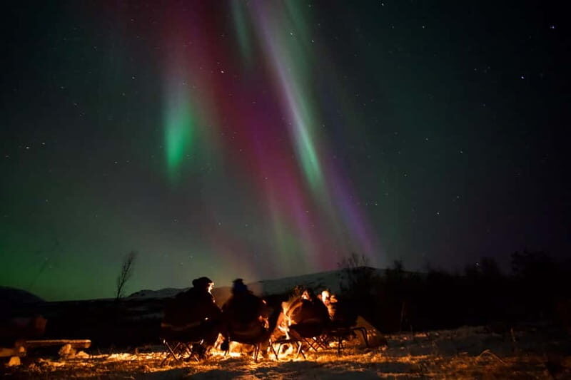 Tromsø: Northern Lights Tour with small group, minibus - Who Is This Tour Best For?