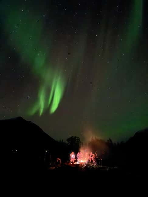 Tromsø: Northern Lights Tour with small group, minibus - Final Thoughts