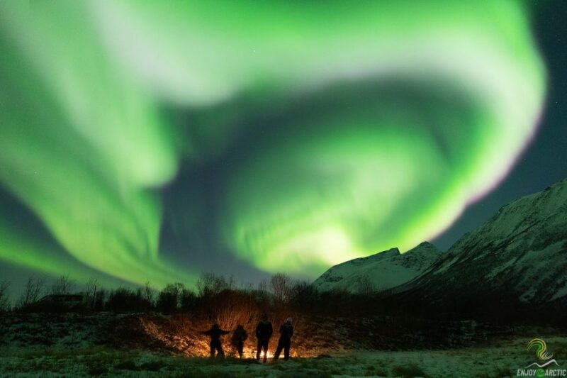 Tromsø: Northern Lights Trip with Campfire and Snacks - An Honest Look at the Northern Lights Tour from Tromsø