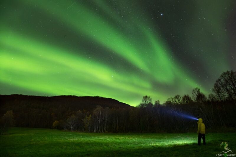 Tromsø: Northern Lights Trip with Campfire and Snacks - Final Thoughts