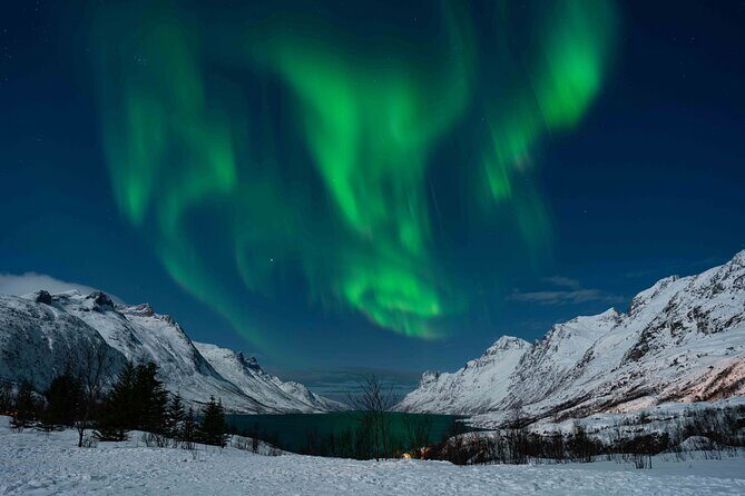 Tromsø Northern Lights with Campfire and Professional Photos - What the Tour Offers and Why It Matters