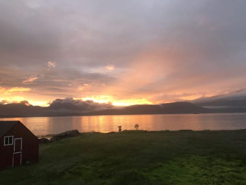Tromsø: Norwegian farmvisit with guide - Final Thoughts on the Tromsø Farm Visit