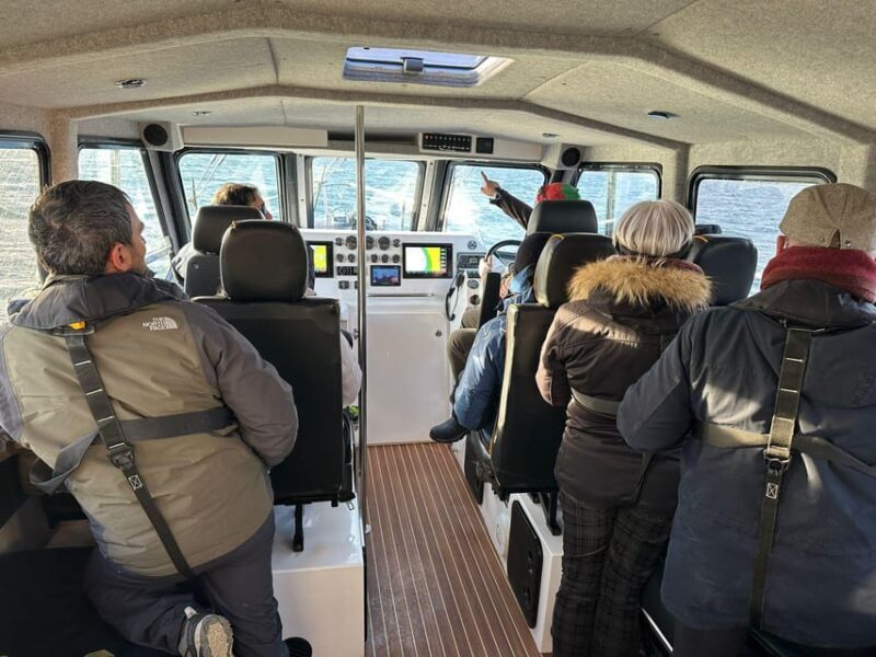 Tromsø: Orca and Whale Watching comfort heated boat Trip - The Marine Ecosystem and Wildlife Encounters