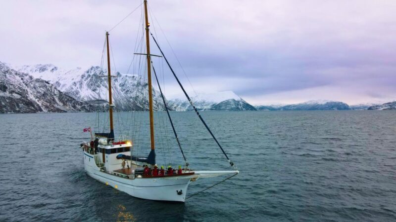 Tromsø: Polar Fjord Cruise on a Luxury Yacht with Lunch - A Closer Look at the Tromsø Polar Fjord Cruise