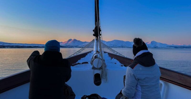 Tromsø: Polar Fjord Cruise on a Luxury Yacht with Lunch - Who Is This Tour Best For?