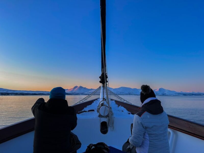 Tromsø: Polar Fjord Cruise on a Luxury Yacht with Lunch - FAQ