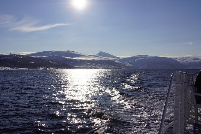 Tromsø: Polar Fjord & Fishing Cruise with Lunch included - The Overall Value