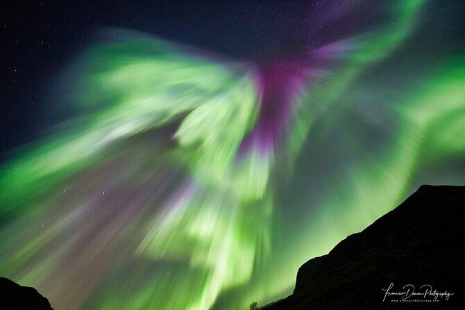 Tromso: Private Aurora Chase by Minivan - Who Should Book This Tour?
