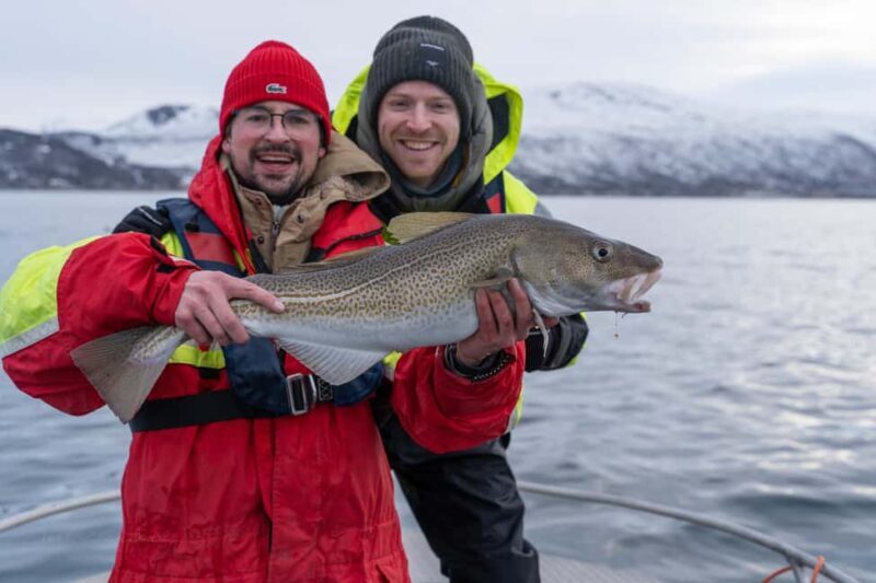 Tromsø: Private Fishing Tour - An Honest Look at Tromsø’s Private Fishing Experience