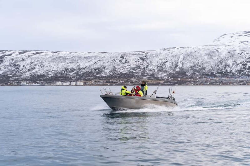 Tromsø: Private Fjord Boat Tour Around the City - Who Will Love This Tour?