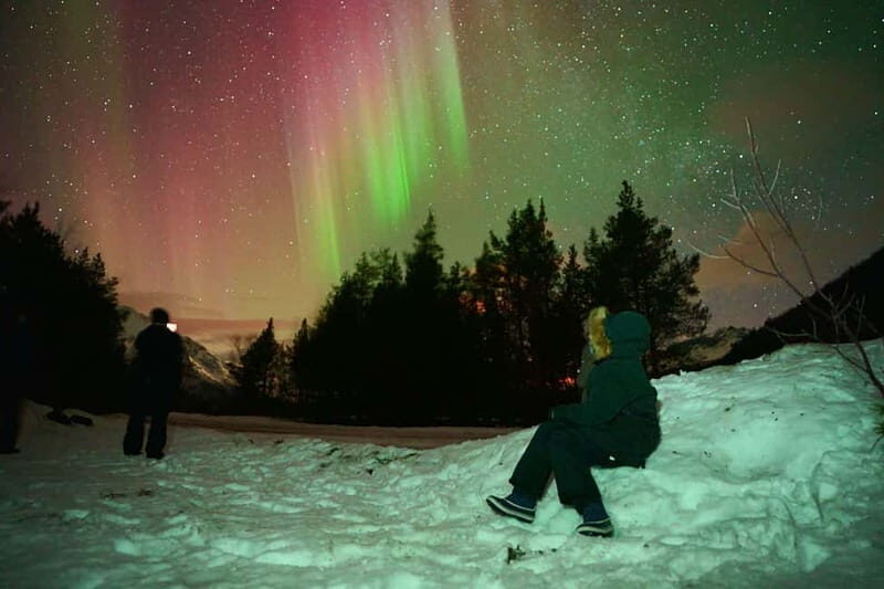 Tromsø: Private Northern Lights Tour with Pro Photographer - Key Points