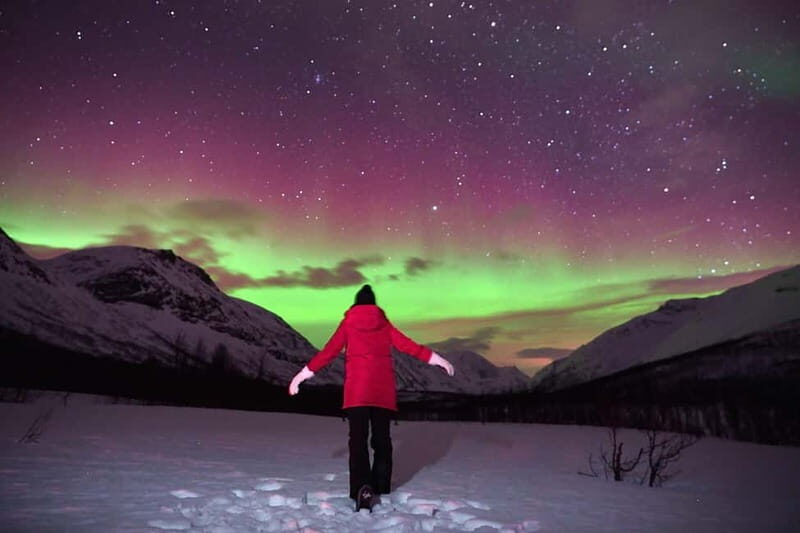 Tromsø: Private Northern Lights Tour with Pro Photographer - The Sum Up