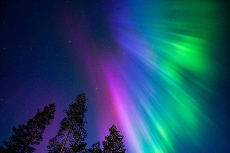 Tromsø: Private Tour with Guaranteed Northern Lights Viewing - What Makes This Tour Unique?