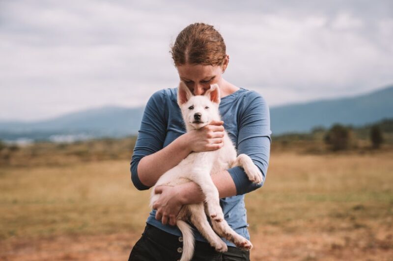 Tromsø: Puppy Training at the Husky Kennel with Lunch - Key Points
