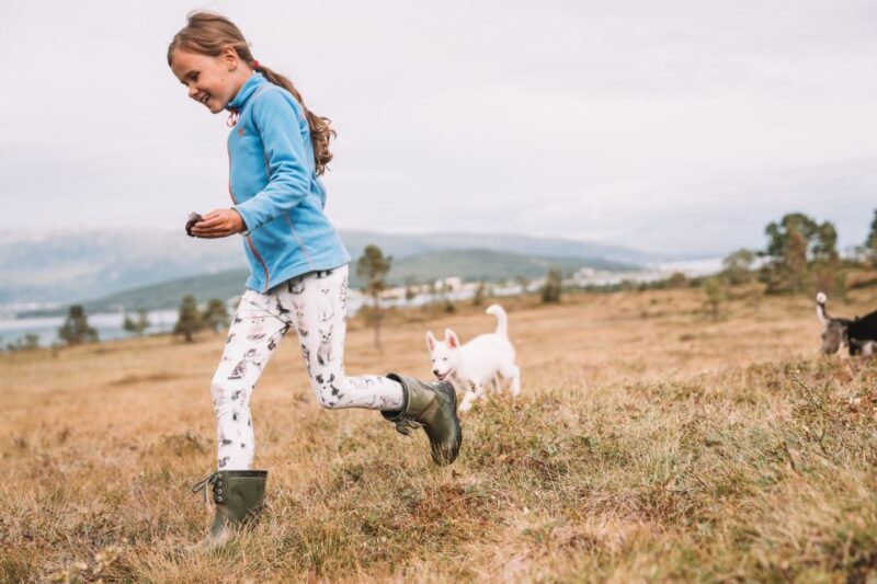 Tromsø: Puppy Training at the Husky Kennel with Lunch - FAQ