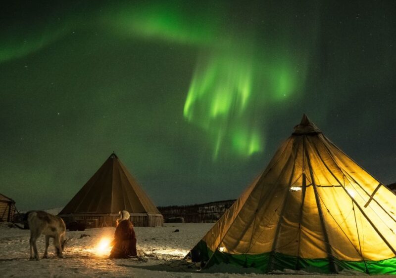 Tromsø: Reindeer Feeding with Chance of Northern Lights - Tromsø: Reindeer Feeding with Chance of Northern Lights — A Genuine Arctic Adventure