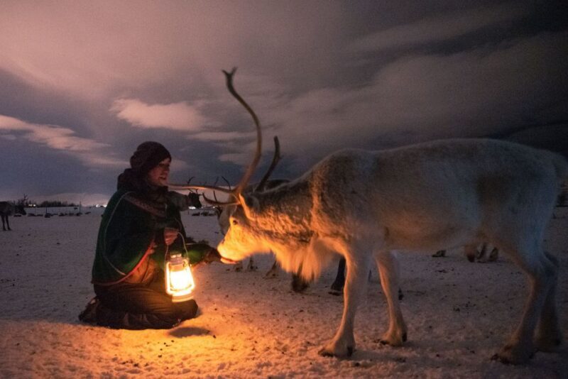 Tromsø: Reindeer Sled, Dinner, and Northern Lights Day Trip - Key Points